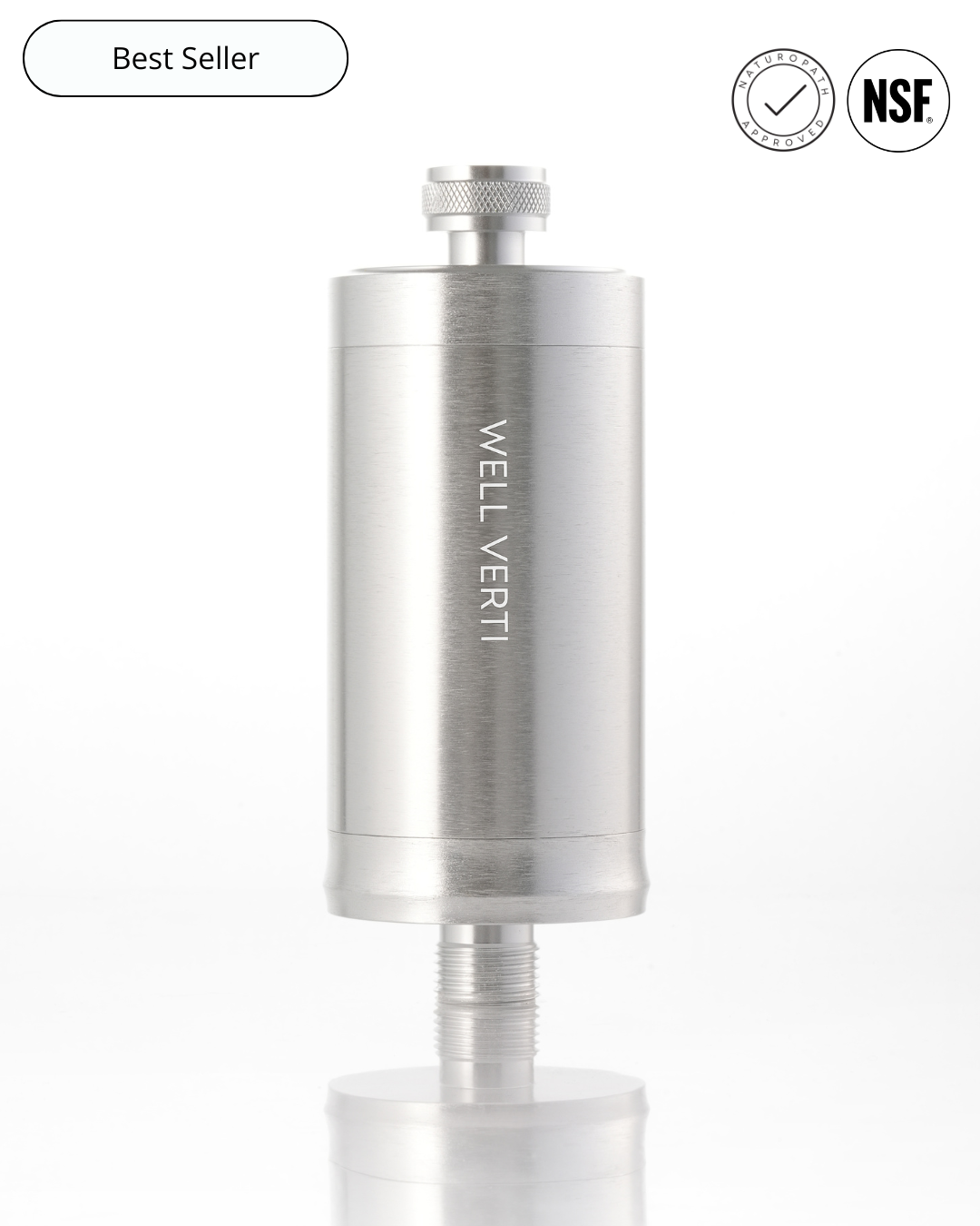 Silver Shower Filter for Chlorine, Heavy Metals, & Hard Water | Well Verti