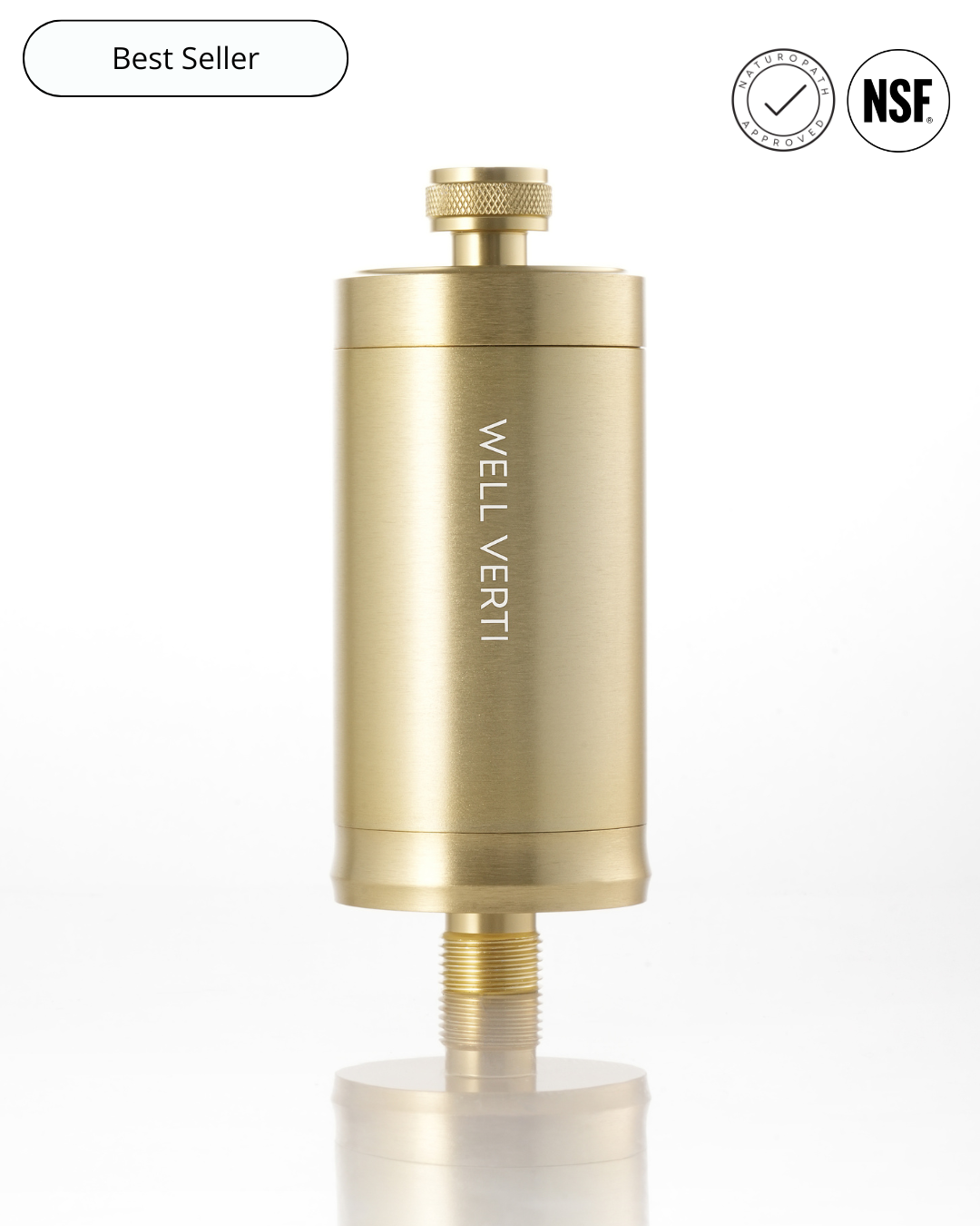 Premium Brushed Gold Shower Filter for Hard Water | Well Verti