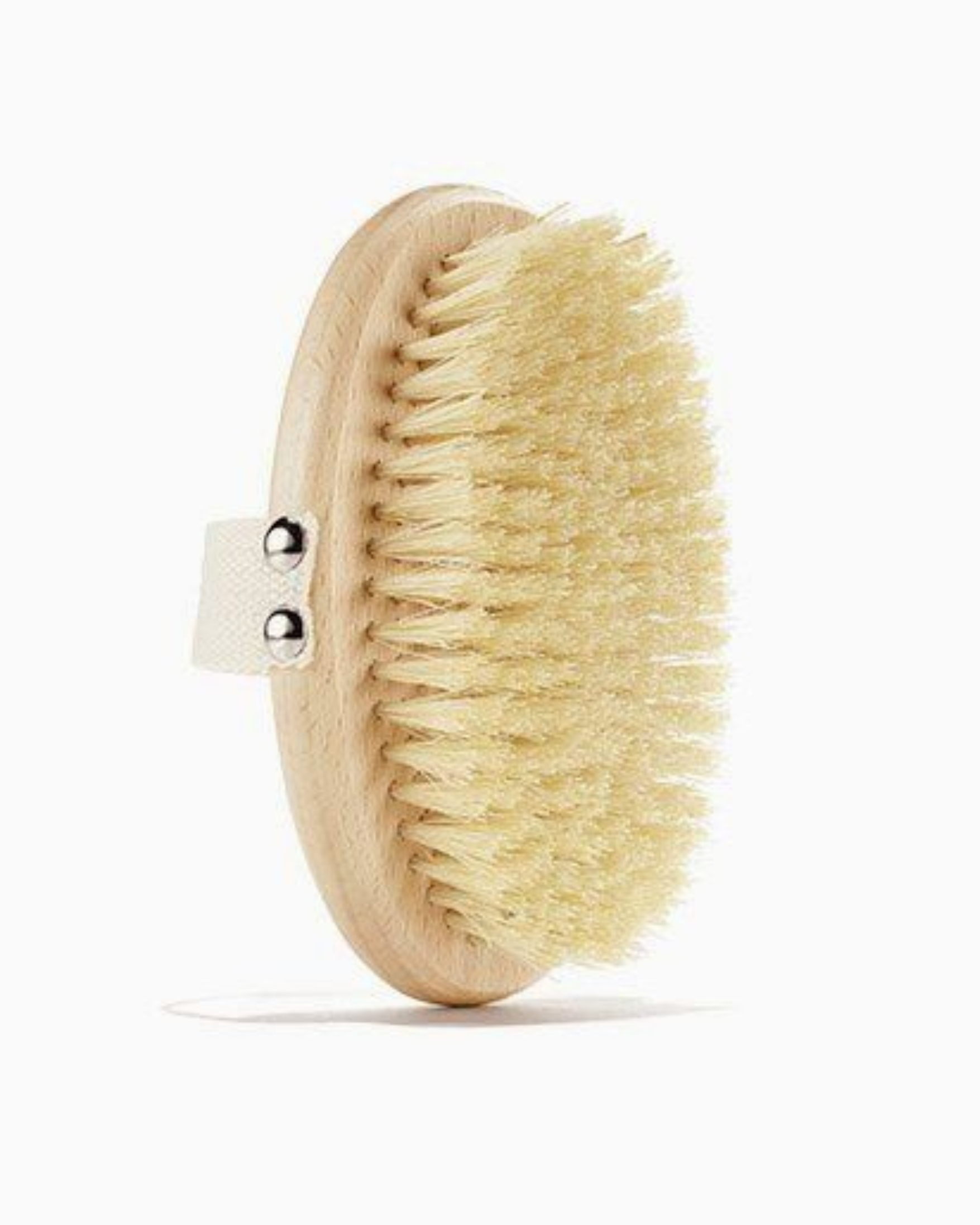 The Ultimate Dry Brush – Well Verti
